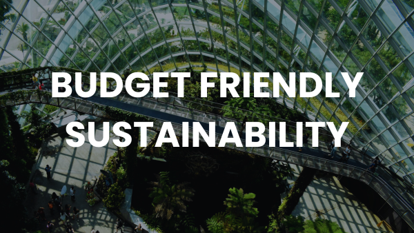 Building a Sustainable Home: Smart Choices for Your Budget and the Environment - Foresight Home ...